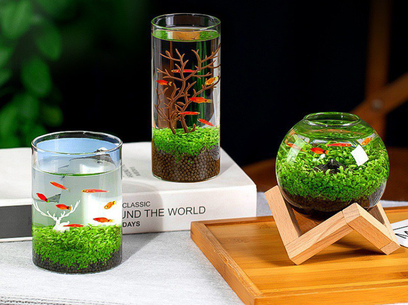 Top 10 mẫu bể cá mini để bàn đẹp nhất hiện nay