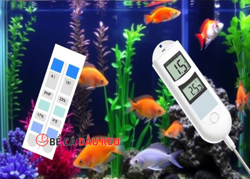 Các phương pháp để điều chỉnh nồng độ pH cho bể cá thuỷ sinh